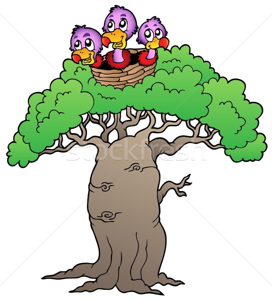 Nest On A Tree Cartoon