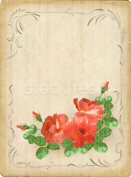 Vintage Rose Borders And Frames Victorian Roses Frame Background