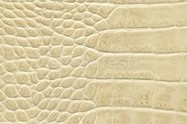 croco leather texture