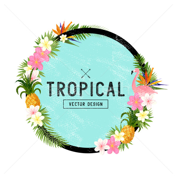 Tropical Flower Border Design Vector | Best Flower Site