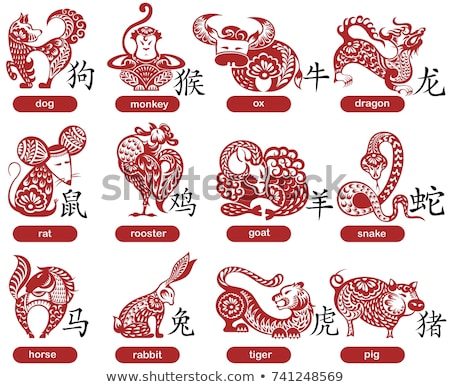 The 12 zodiac signs chinese 60 photos - Youhoroscope.com