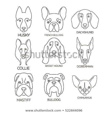 Dog Head Template