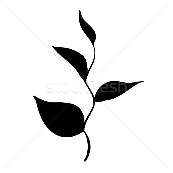 Tea Leaf Silhouette Premium Vector | Silhouette Of Tea Leaves In